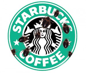 Here is Something That Will Bug You About Starbucks - The Bottom Line UCSB