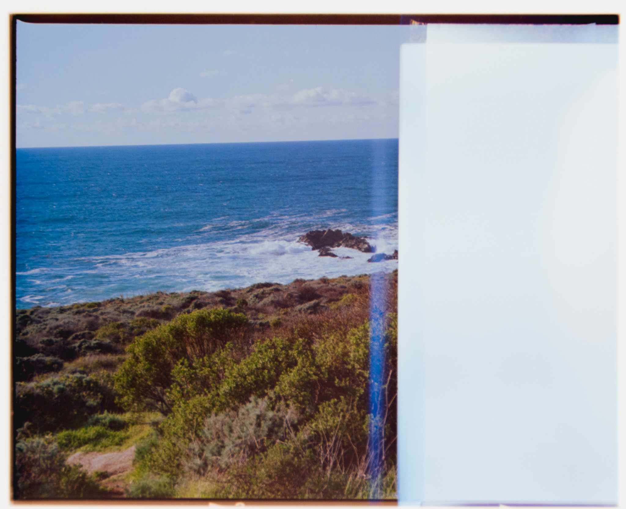 In Photos – A Roadtrip to NorCal - The Bottom Line UCSB