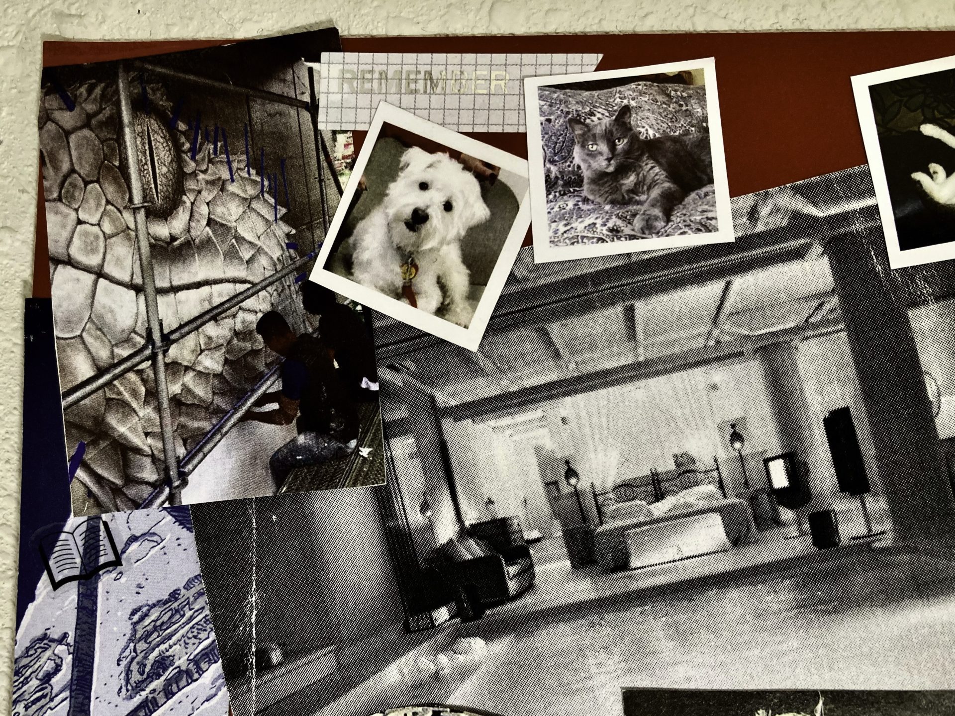 In Photos: A College Collage - The Bottom Line UCSB